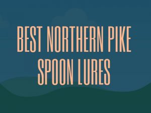 Best Spoons for Northern Pike - Most Effective Pike Spoon Lures
