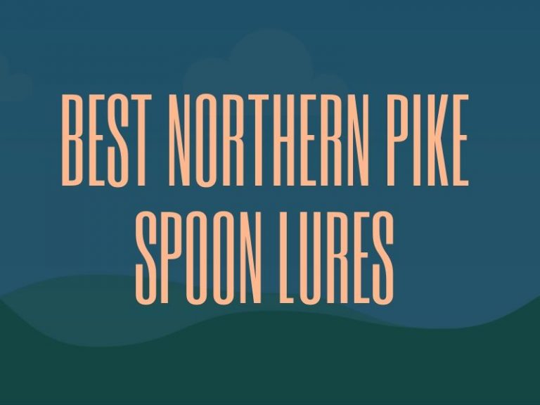 Best Spoons for Northern Pike - Most Effective Pike Spoon Lures