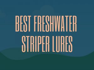 Best Striper Lures Freshwater - 5 Killer Lures for Striped Bass