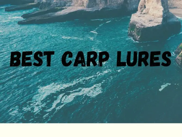 Best Lures for Carp - Top Five Lures to Catch More Carp