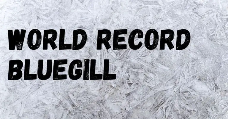 World Record Bluegill - The Top 10 Biggest Bluegill Ever Caught