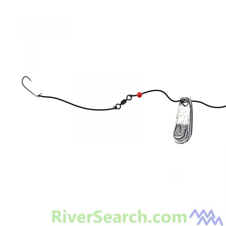 3 Best Rigs for Fishing Perch