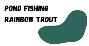 How to Catch Rainbow Trout in a Stocked Pond - Fishing Tips