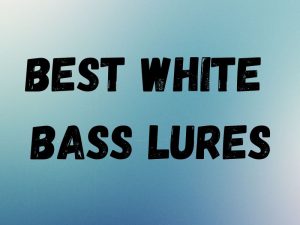 Best White Bass Lures - Top 5 Lures You Need to Try