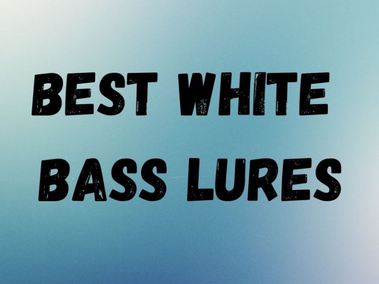 Best White Bass Lures - Top 5 Lures You Need to Try