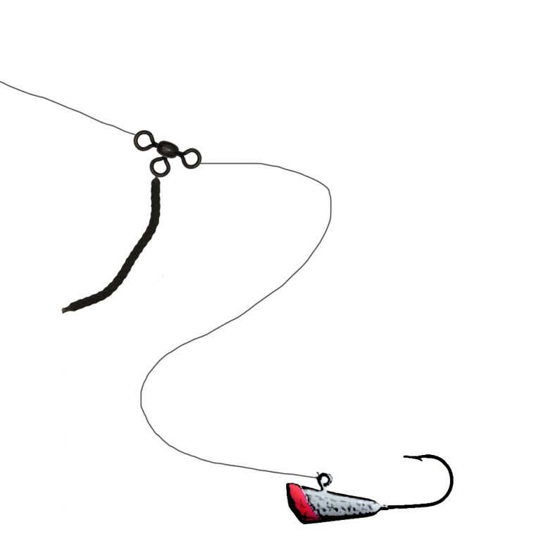 How to Catch American Shad - Fishing Tips