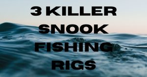 Snook Fishing Rigs - 3 Killer Rigs You Need to Try