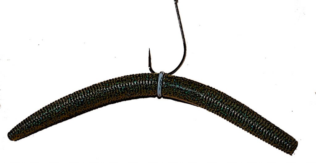 How to Fish a Wacky Rig - RiverSearch