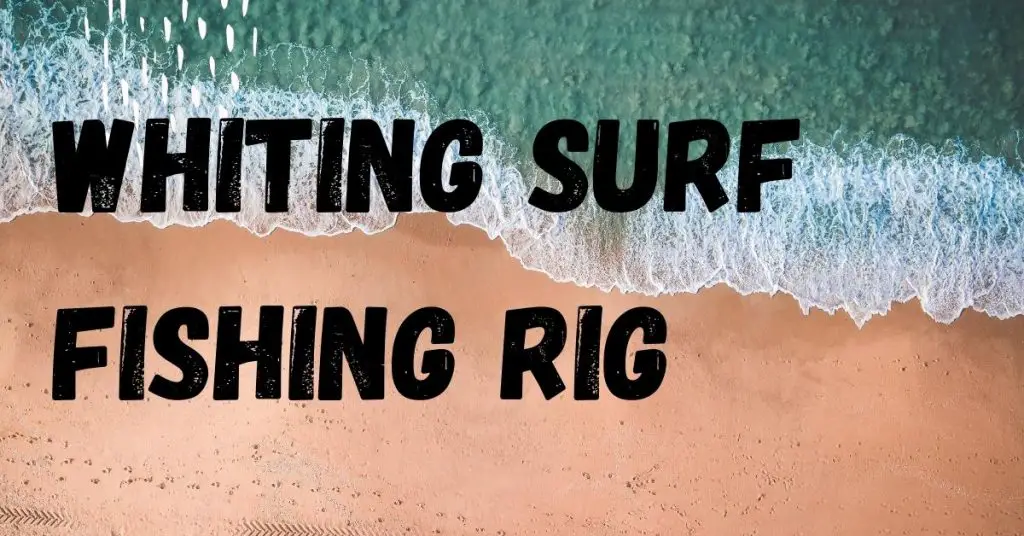 Surf Fishing Rig for Whiting - Dropper Loop Rig